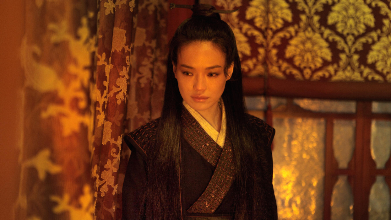 The Assassin (2015) | Dog And Wolf